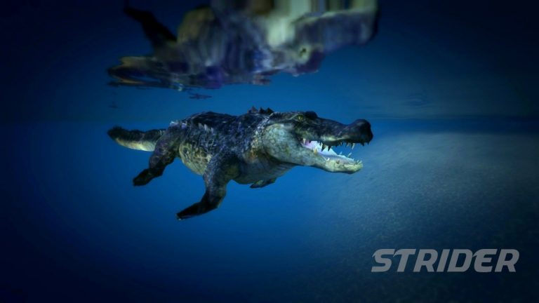 Crocodile Mod